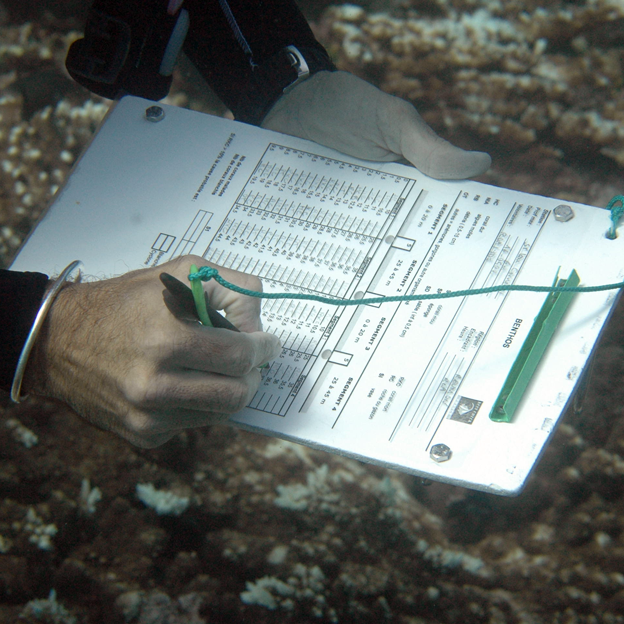 BIENVENUE - Reef Check France